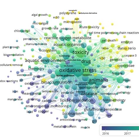 Bibliometric Network Analysis Download Scientific Diagram