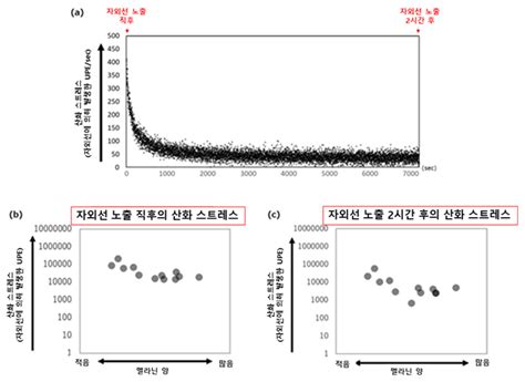 [일본 리포트] 시세이도 자외선에 의한 산화 스트레스 글로벌 수준 검증