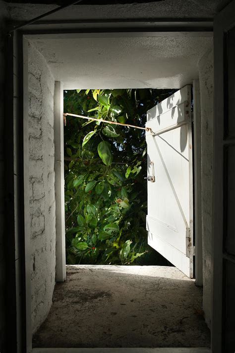 Window 2 Photograph By Christopher Mccartin Fine Art America