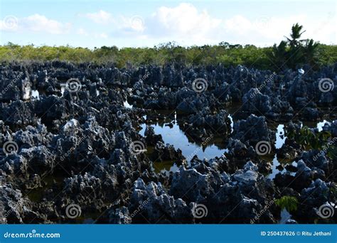 Limestone Formations In The Town Of Hell On Grand Cayman In The Cayman