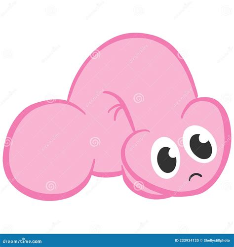 Cartoon Willy Penis Shaped Illustration And Testes From The Male Reproductive System Stock