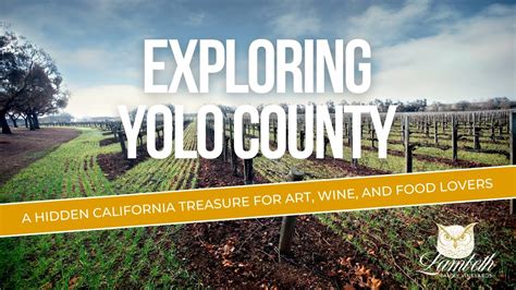 Exploring Yolo County A Hidden California Treasure For Art Wine And