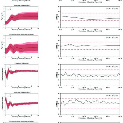 Descriptive Results Between Ns And Bs Lower Limb Statistical Parametric Download Scientific