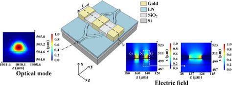 Schematic Of The Traveling Wave Mach Zehnder Modulator Download Scientific Diagram