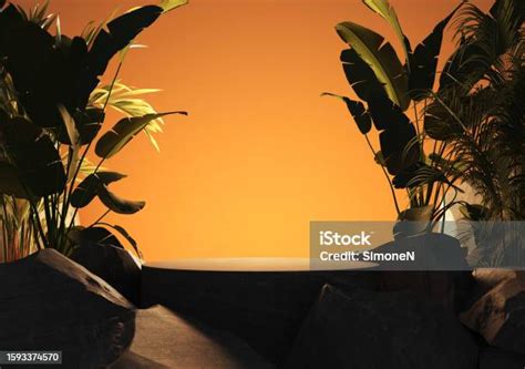 열대 우림의 검은 돌과 바위 전시 제품 또는 진열장을 위한 빈 돌 연단 0명에 대한 스톡 사진 및 기타 이미지 0명 3차원