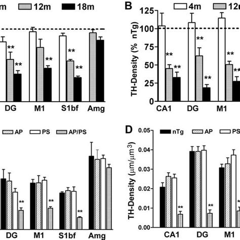 App The Secretase Cleavage Sites And The Location Of App Mutations Download Scientific