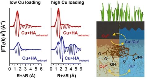 Synchrotron Based Research Soil Chemistry ETH Zurich