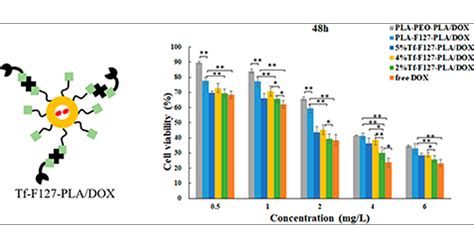 Inhibiting Multidrug Resistance With Transferrin Targeted Polymersomes Through Optimization Of