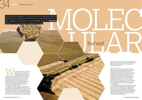 As The Global Demand For Alternative Proteins Grows Plant Molecular Farming Pmf Is Emerging