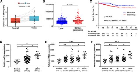 The Brd4 Inhibitor Jq1 Suppresses Tumor Growth By Reducing C Myc