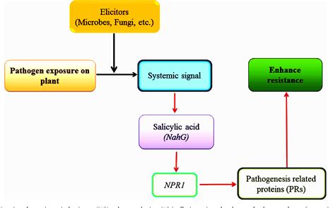 Figure 2 From Efficiency Of Microbial Bio Agents As Elicitors In Plant