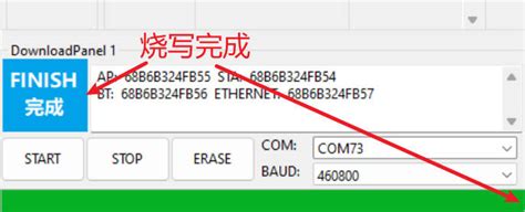 nginx directory