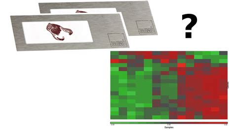 5 Recommendations To Overcome Limitations Of Ffpe Tissue For Microarray