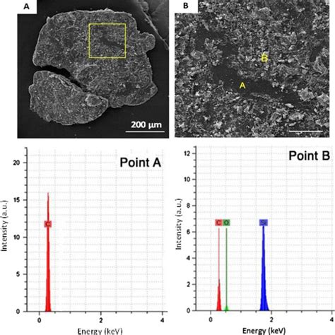 Sem Micrographs Of Sic Coated Graphite In Two Magnification And Eds Download Scientific Diagram