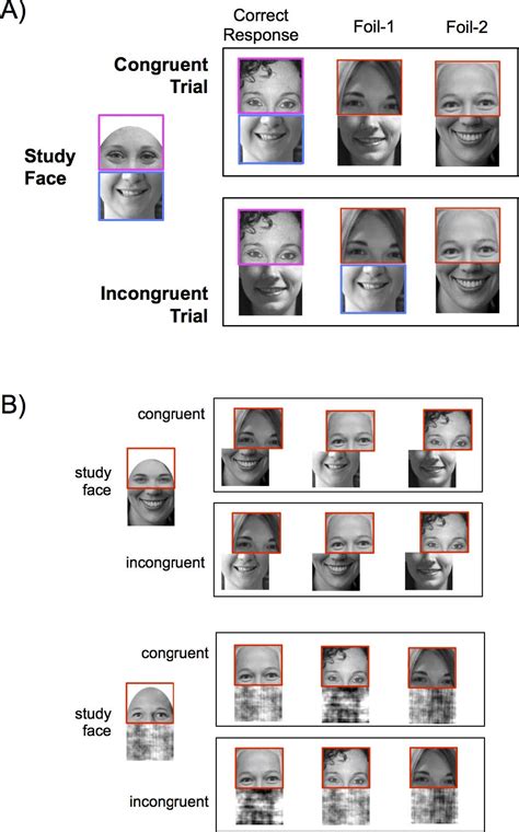 Figure 1 From The Vanderbilt Holistic Face Processing Test A Short And