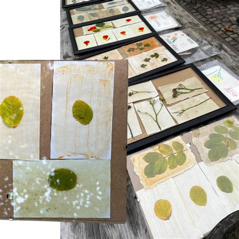 Anthotype Workshop Grobak Hysteria