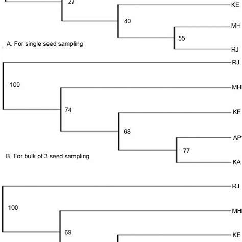 Dendrograms Based On Neis Genetic Distance Showing The Genetic
