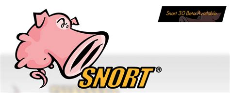 Snort Installation In Kali Linux From The Source By Satyam Pathania Sep 2023 Medium