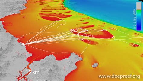 Robin Beaman On Linkedin Oceanscience