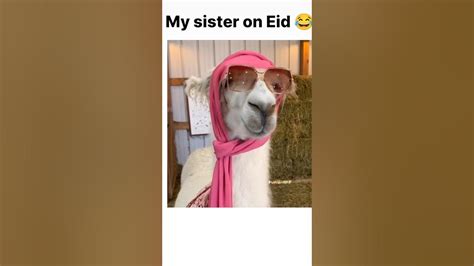 My Sister On Eid 🤣 Sister Eid Youtube