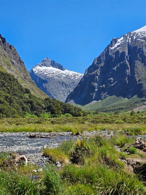 퀸스타운 밀포드사운드 예매 저렴하게 하는 법 17 네이버 블로그