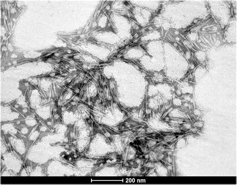 Simevo Simulation Evolved Applications