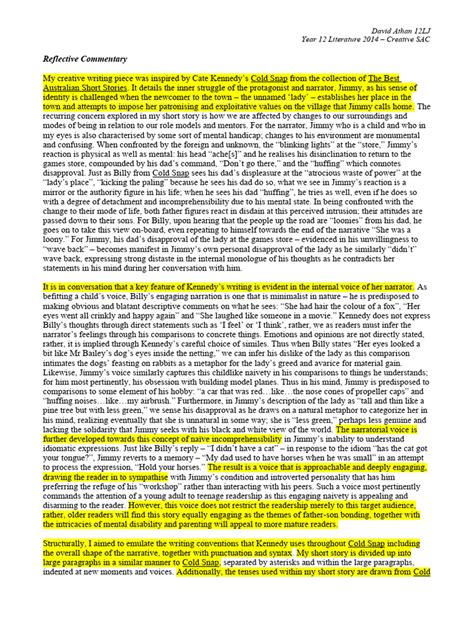 Reflective Commentary Example Pdf Narration Narrative