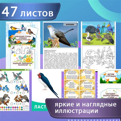 Лэпбуки Лэпбук «Все о птицах комплект заданий Зимующие и перелетные птицы Лэпбук для детей