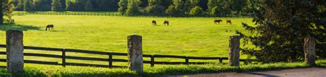 Gainesway Farm