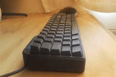 input devices keyboards