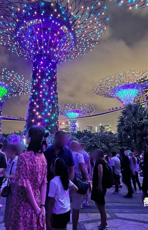 Day2 Singapore 가든스바이더베이 플라워 돔 슈퍼트리쇼 슈퍼트리쇼 시간 명당자리 기념품 샵 싱가포르 정원 네이버 블로그