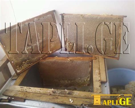 თაფლი Tapli Ge თაფლი თაფლის არაყი ცვილი სხვა თაფლი