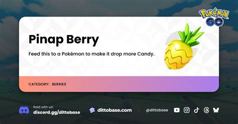 Pinap Berry Dittobase