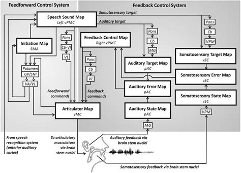 neurocomputational modeling of speech motor development journal of