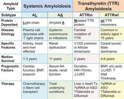 Types Of Amyloids Medizzy