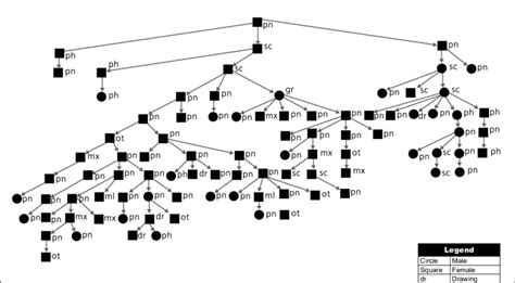 Depicts The Largest Chain In The Sample It Began When A Female Painter Download Scientific