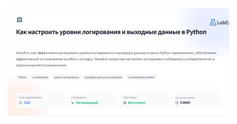 Как настроить уровни логирования и выходные данные в Python Labex