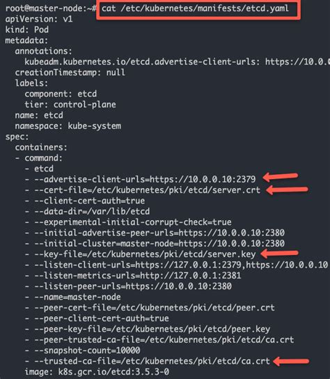 Sao Lưu Và Khôi Phục Etcd Trong Kubernetes Backup Restore Etcd