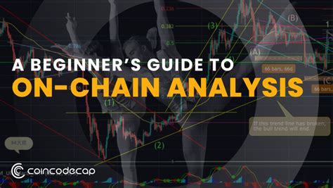 A Beginners Guide To On Chain Analysis By Akansha Jain Medium