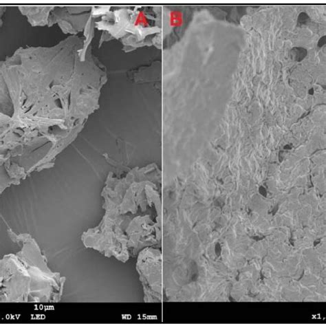 Scanning Electron Micrographs Of Irbesartan A And Ir Hpβcd Inclusion