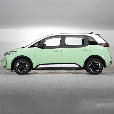 Byd D1 Ddong Automobile