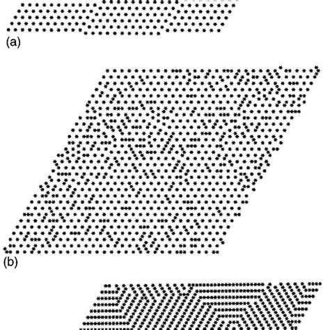 typical lattice configurations from canonical monte carlo simulations