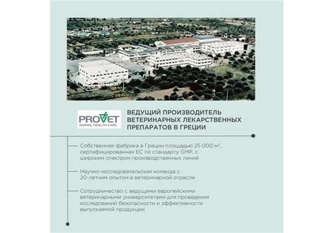 Prophyto Derma Protect Шампунь ПроФито для собак с растительными экстрактами против перхоти и