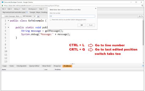 Developer Console Extension In