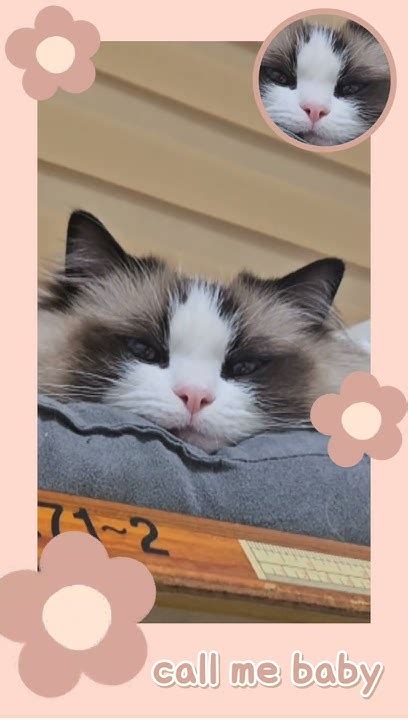 귀여운 눈동자 Youtube