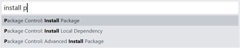 서브라임 텍스트 Sublime text 설치 install package 필수 패키지