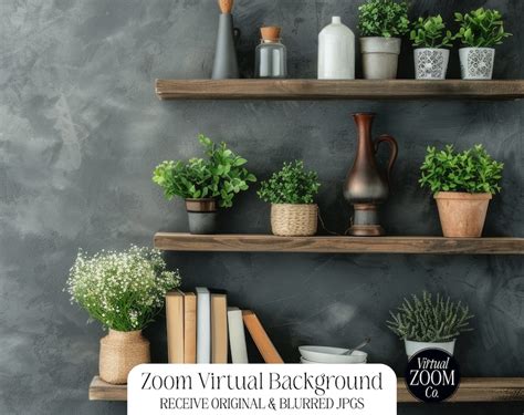 Zoom Background Indoor Plants Zoom Meeting Plants On Shelves Virtual