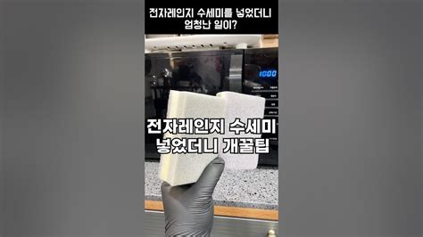 전자레인지에 수세미를 넣었더니 생기는 개꿀팁 Youtube