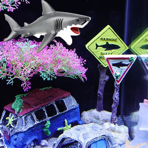Great White Shark Habitat Diorama