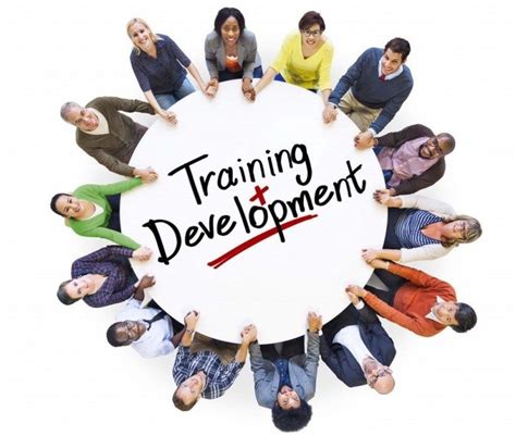 Learning And Development Anyone Can Do It Right ELearning Industry